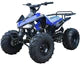 What are the top 110cc ATVs available on the market? – PowerRideOutlet