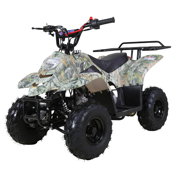 What is the maximum weight capacity of the Tao Tao 110 ATV ...