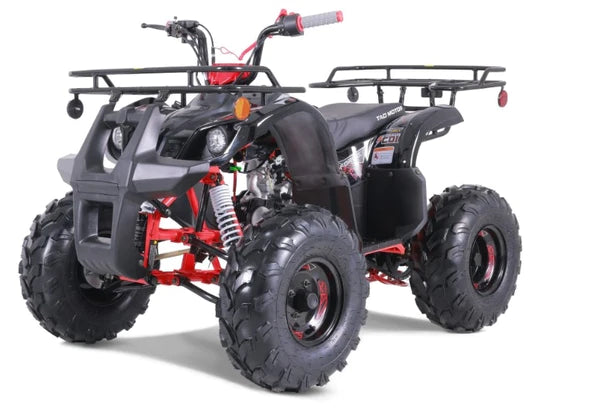 What is the maximum load that the Tao Motor 125 New TForce Midsize ATV ...