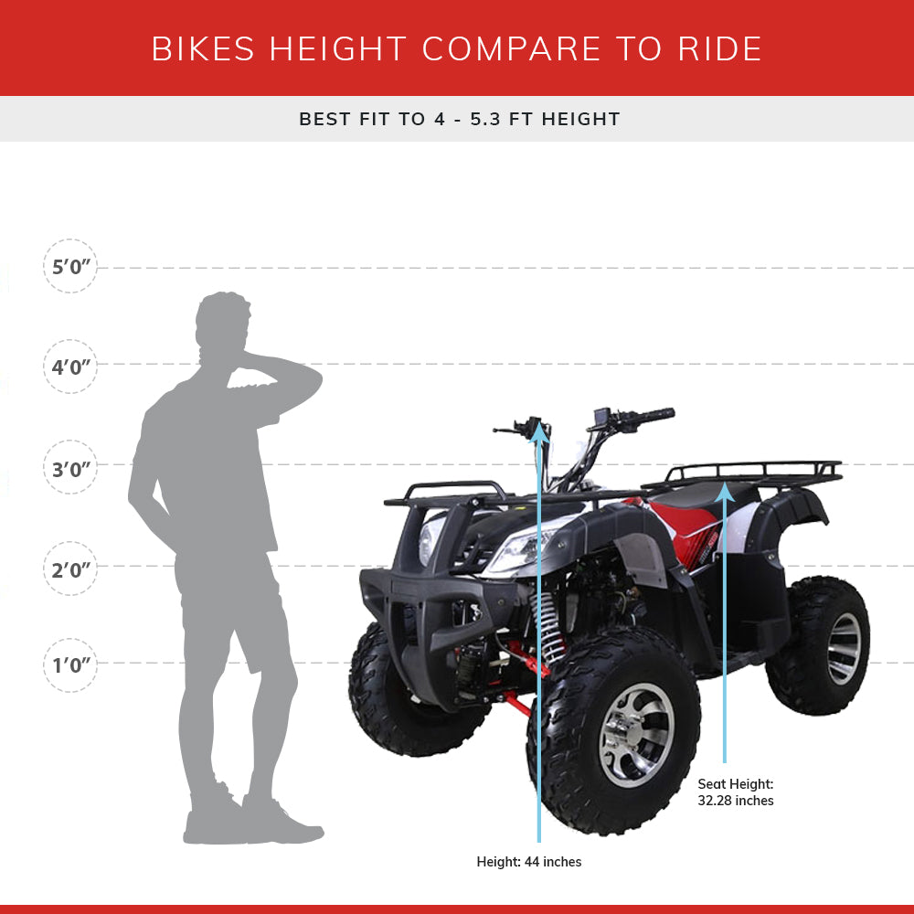 Best Tao Motor 200 Bull Adult ATV For Sale At Power Ride Outlet ...